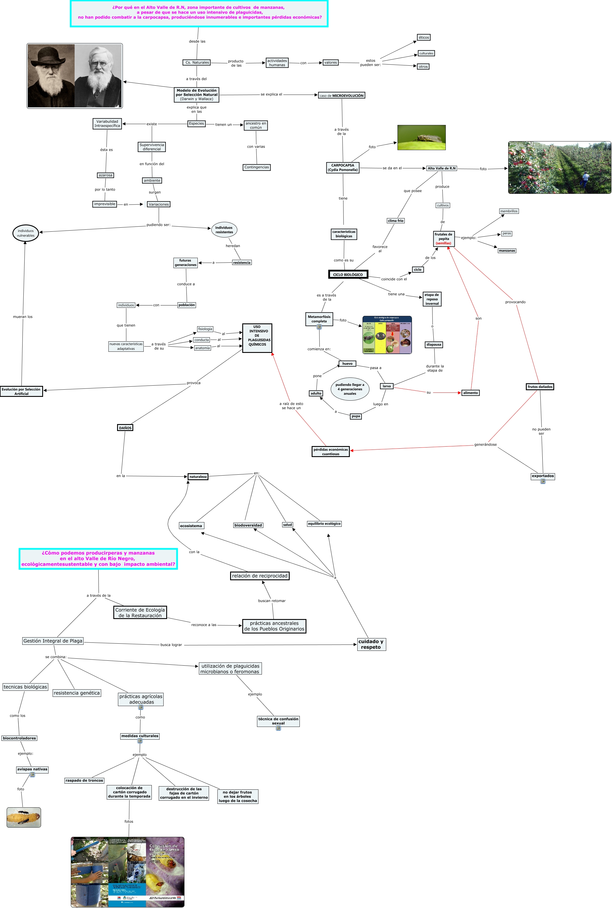 RED CONCEPTUAL CARPOCAPSA corregido - nada
